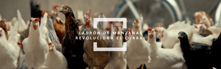 Proyecto LDM – Miopia FX